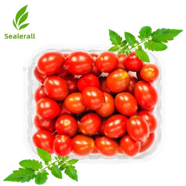Sealerall MAP Tray Sealer machine in operation packaging small tomatoes