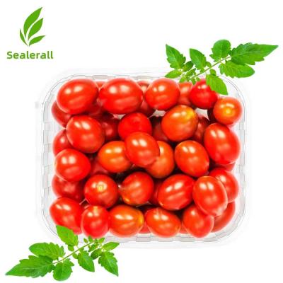 China Sealerall MAP Tray Sealer for Small Tomatoes 10-12 Pack Trays for sale