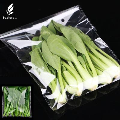 중국 500g 식물성 변형 대기 포장 기계 판매용