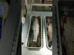 Levende vissen Gebruikersvriendelijk MAP Plastic Box Sealing Machine Tray Sealers Voedselverpakking