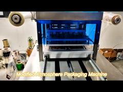 fresh vegetable modified atmosphere packing machine plastic box with automated processes