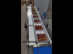 stainless steel modified atmosphere packaging machine