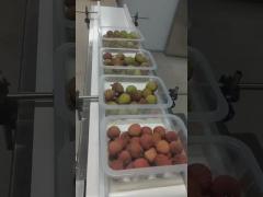 Sealerall Modified Atmosphere Packaging Machine Packing Fresh Litch