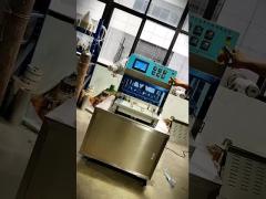 Vertical Extended-Type Sealing Machine with 7-inch Touch Screen for One-to-Six Cavity Multi-Cavity S