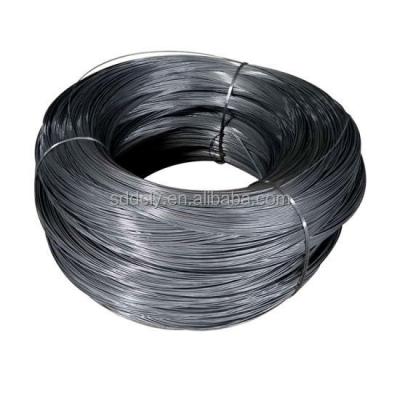 Cina SAE 1006 1008 1010 1022 5.5mm 6.5mm Hot Rolled Carbon Steel Wire Rod with ASTM Standard in vendita