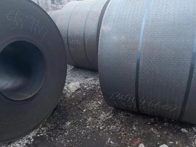 China 30%T/T Advance 70% Balance Payment Term Hot/Cold Rolled Wear Resistant Steel Plate/Coil for sale