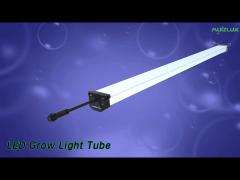 Tomato LED Grow Light Tube Red Blue Spectrum IP65 Easy Install
