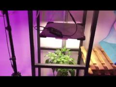 Intelligent 60W LED Grow Light Panel Large Coverage 3 Mode Spectrum Control