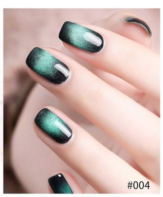 Cina 6 colori 9D Cat Eye Nail Polish in vendita