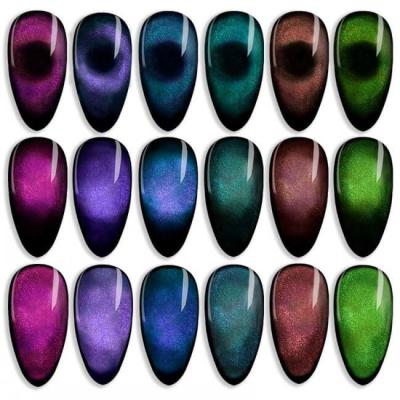 Cina 6 colori 9D Cat Eye Nail Polish in vendita