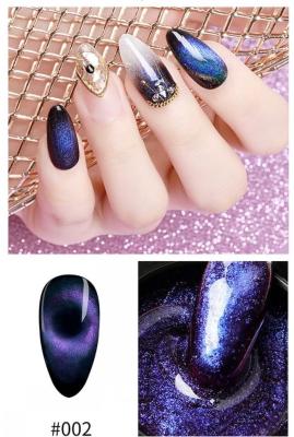 Cina 6 colori 9D Cat Eye Nail Polish in vendita