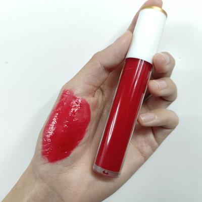 Cina I cosmetici di bellezza 25 colori luccicano e splendono la lucentezza del labbro in vendita