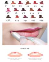 China Multifunctional Makeup Waterproof Matte Lipstick Pencil for sale