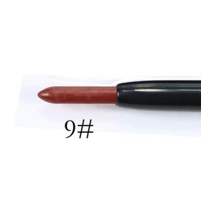Cina etichetta privata Matte Lip Liner Set dell'alto pigmento di 13.2cm in vendita
