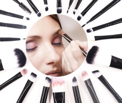 Cina Il trucco morbido privato dei capelli dell'etichetta 22pcs spazzola il corredo pieno in vendita