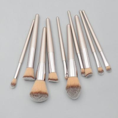 Cina Insieme amichevole di Eco Champagne Handle Synthetic Makeup Brushes in vendita