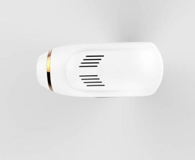 Cina Macchina di depilazione di IPL della casa di Epilator, macchina permanente del laser di depilazione in vendita