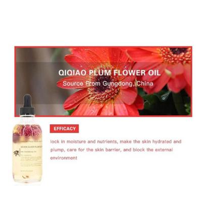 China Körper ISO-Lavendel-Aromatherapie-ätherische Öle zu verkaufen