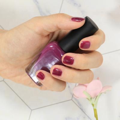中国 ODM 24は長続きがするきらめきの非有毒なマニキュアを着色する 販売のため