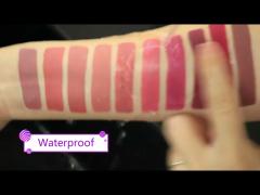 Private Label 4 Colors Waterproof Matte Nude Lipgloss