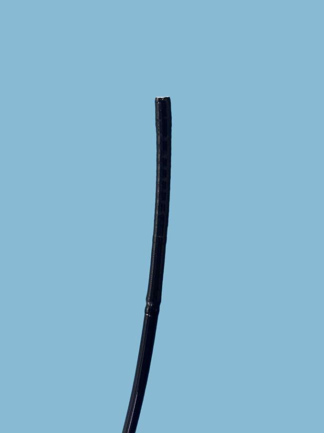 BF-1T180 flexible Bronchoscopes W 3mm Viewing Channel ESD Laser Compatible 0