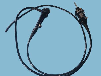 China PCF-H190L Colonovideoscope HDTV NBI Imaging para observação detalhada à venda