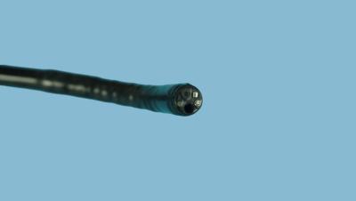 China GIF-V70 Veterinary Gastroscope 9.2mm Diameter Compatible With CV70 Medical Endoscope for sale