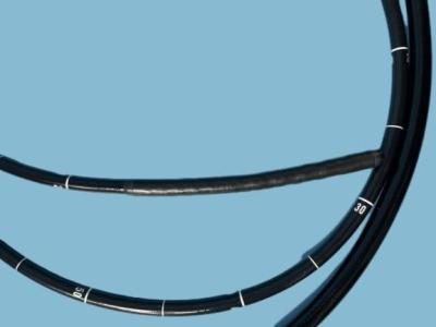 중국 PCF-PH190L 가능한 최고 해상도와 이미지 품질을 제공합니다 판매용