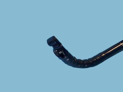 China GF-UCT240-AL5 Gastrovideoscopio ultrasónico con campo de visión de 100 grados en venta