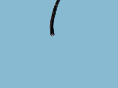 China ENF-GP2 High Definition Rhino-Laryngoscope Flexible Endoscope Diagnose And Photograph The Internal Lumen for sale
