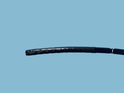 China CF-HQ290L High Definition Flexible Scope Videocolonoscope DUAL FOUCUS Medical for sale