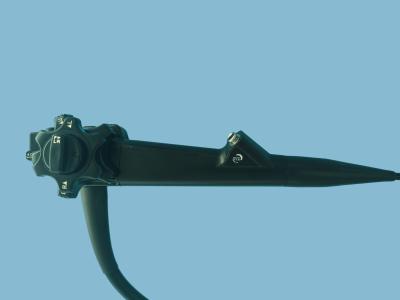 China Transnasal Fujinon EG-530N Video Gastroscopio Flexible con un diámetro exterior de 5,9 mm y un canal de trabajo de 2,0 mm en venta