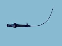 China ENF-GP Flexible Endoscope 3.6mm 30cm High-Resolution Optical Technology for ENT Procedures for sale