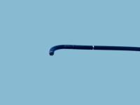 China ENF-GP Flexible Endoscope 3.6mm 30cm High-Resolution Optical Technology for ENT Procedures for sale