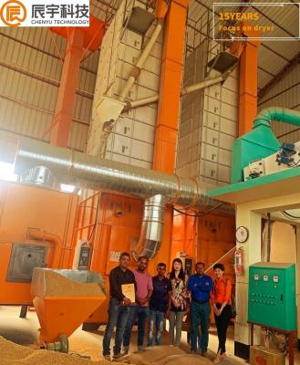 China 15 toneladas por el tipo de flujo cruzado del lote máquina de Paddy Dryer en venta