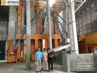 China 15 Tons per Batch Cross Flow Type Paddy Dryer Machine 380V 50Hz Industrial Grain Dryer for sale
