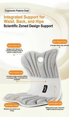 China Simple and elegant practical waist protection composed of memory foam and plastic suitable for multiple scenarios that require waist protection. for sale