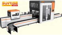 China Pick and Place Case Packer for sale