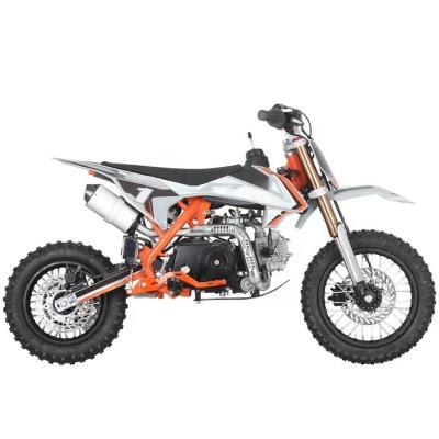 China 4 Stroke 70cc 90cc 110cc Gasoline Petrol Power Automatic EPA CE Pit Bike for Motocross for sale