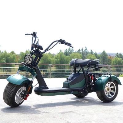 Cina 2000W CEE 60V 20AH Citycoco Scooter elettrico pneumatici larghi e colori personalizzati supportati in vendita