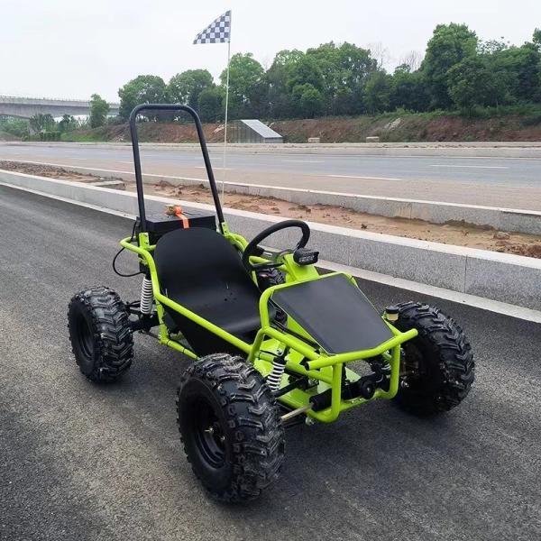 Quality Amusement Park Rental Golf Buggy Cart with 1000W Brushless Motor and EEC for sale