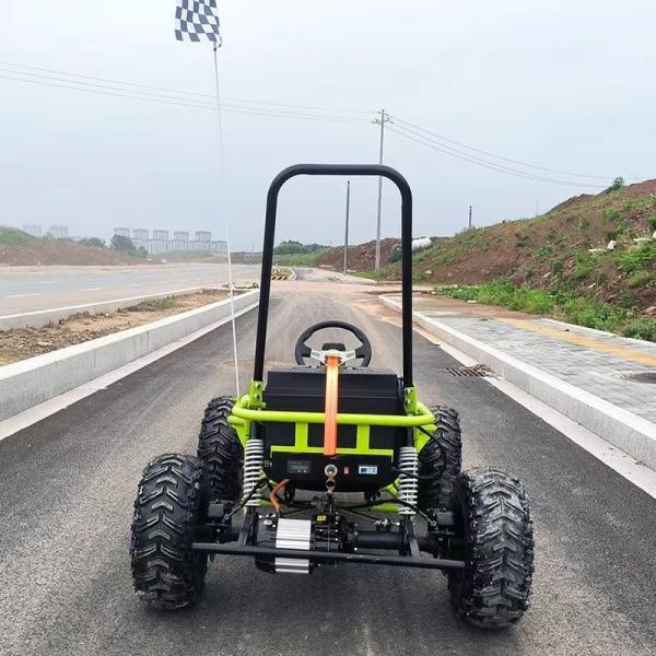 Quality 1000W Powerful Motors Electric Karts for Adults 2024 Model and High Grade for sale