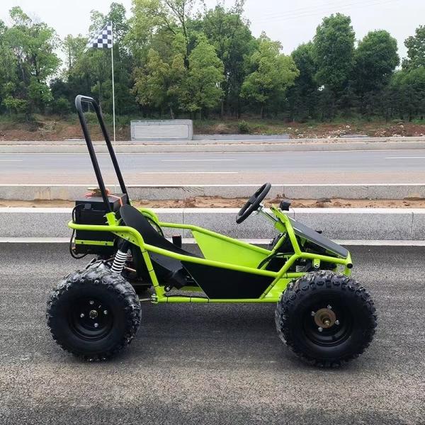 Quality 1000W Powerful Motors Electric Karts for Adults 2024 Model and High Grade for sale