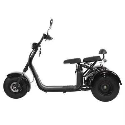 Cina Citycoco Scooter elettrico 2000W 1000W 1500W Adulto 3 ruote 31-40Ah Batteria capacità in vendita