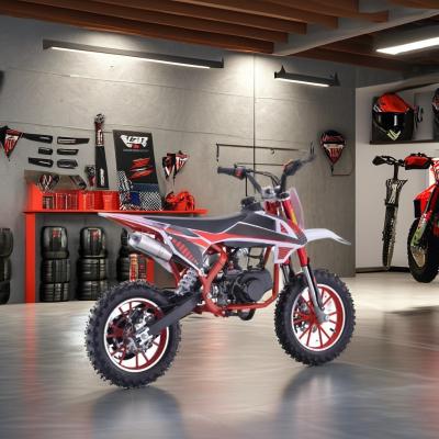Cina Sperimenta la velocità e la potenza di motori di 49cc per moto di 50cc in vendita
