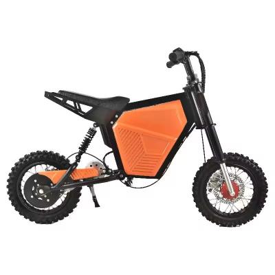 Cina 36V Electric Dirt Bike for Kids Design 250W 500W 800W 1000W Tipo di motocicletta fuoristrada in vendita