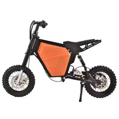 Cina 36V Electric Dirt Bike for Kids Design 250W 500W 800W 1000W Tipo di motocicletta fuoristrada in vendita