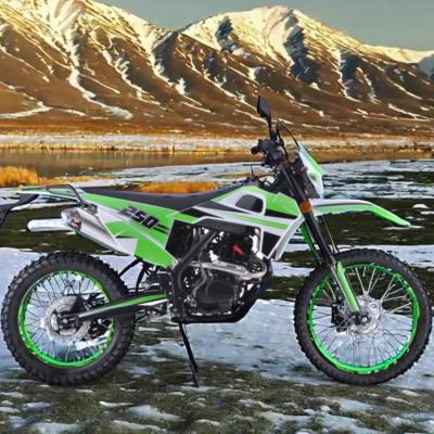 Cina Motore da 250cc Colori personalizzati Supportati Off-Road Gasoline Dirt Bike per adulti in vendita