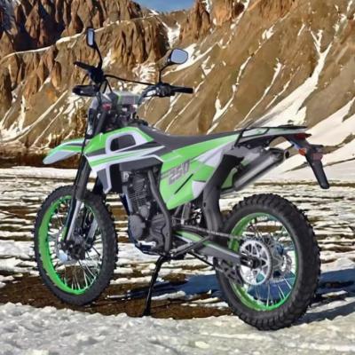 Cina 200-400cc di cilindrata Off Road Dirt Bike Motociclette con scelte di colore personalizzabili in vendita