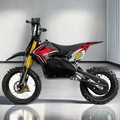 Cina 48V 60V motocicletta elettrica cross Aotong motore 1500w 1600w motocicletta elettrica sporca per bambini in vendita